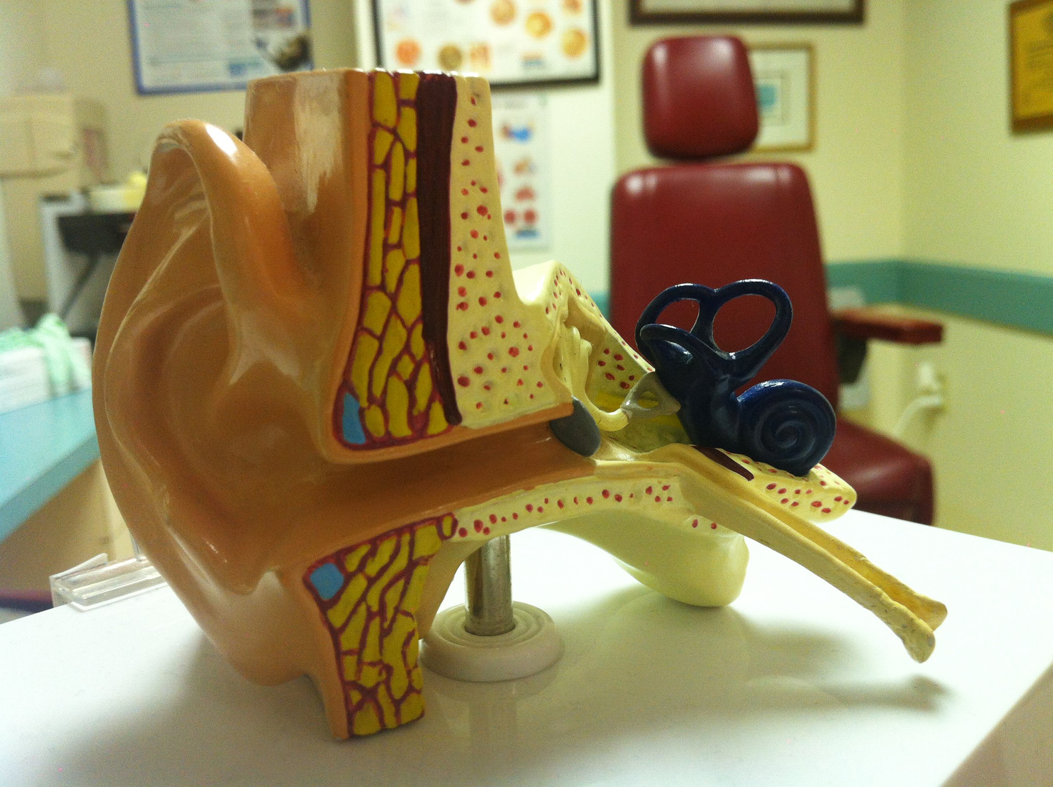 Ear, nose and throat | ODE | REWIND | RCGP Learning